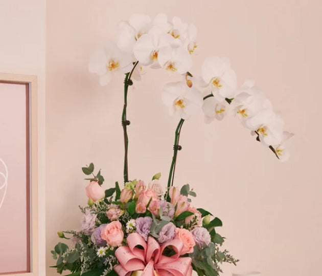 Love You Soju Much - Soju x Flowers Gift Set – FarEastFlora.com