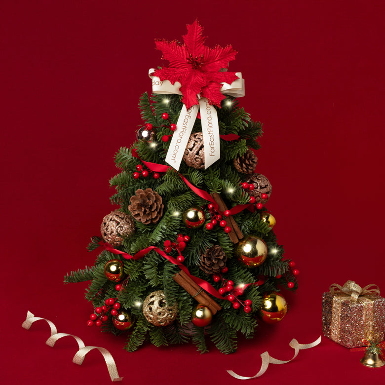 Jolly Christmas - Mini Fresh Christmas Tree 50cm | FarEastFloracom ...