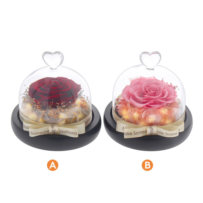 Forever In Bloom – Preserved Rose (5 Colours) – FarEastFlora.com