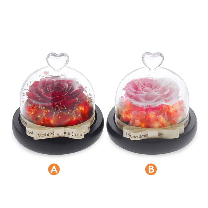 Everlasting Bloom – Special Preserved Rose (5 Colours) – FarEastFlora.com